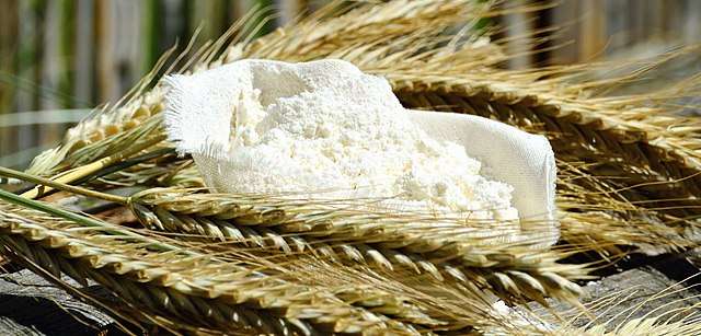 Types of Flour - Understanding Different Wheat Flours - LittleHomeSteaders