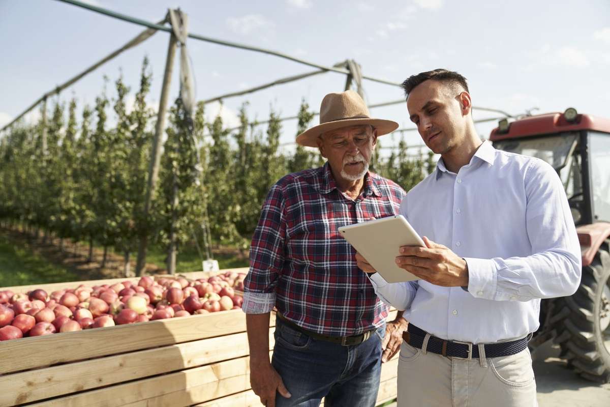 How to Start and Run a Successful Homestead Business: A Step-by-Step ...