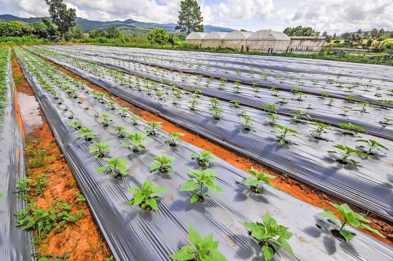 Reduce, Reuse, Recycle: Effective Ways to Manage Farm Waste ...