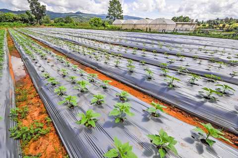 Reduce, Reuse, Recycle: Effective Ways to Manage Farm Waste ...