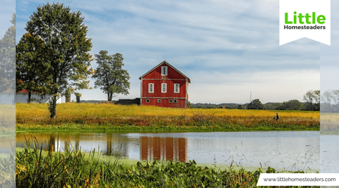 The Homestead Act: A Look at Its Impact and Legacy in America ...
